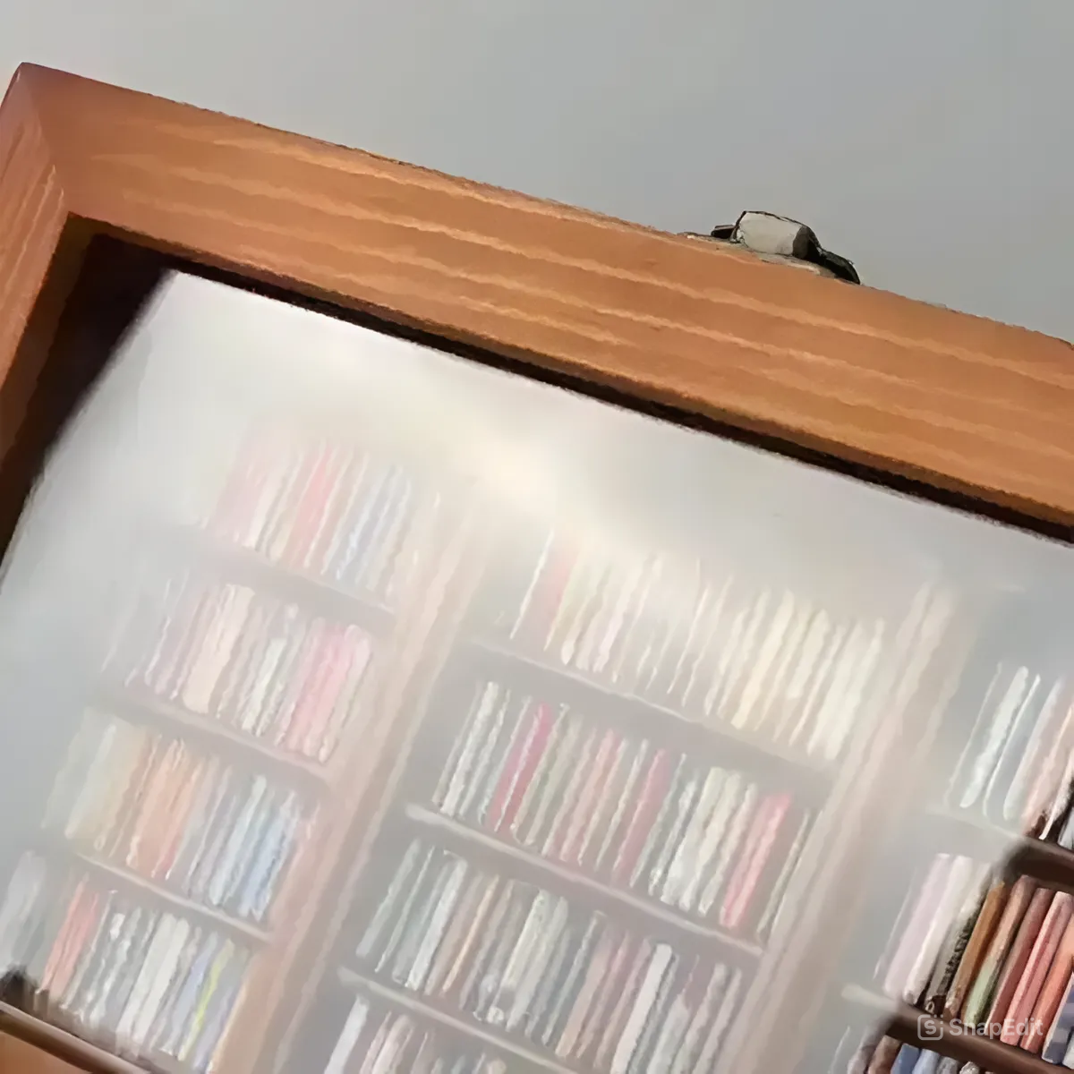 Anxiety Bookshelf | Shake Away Your Anxiety ️